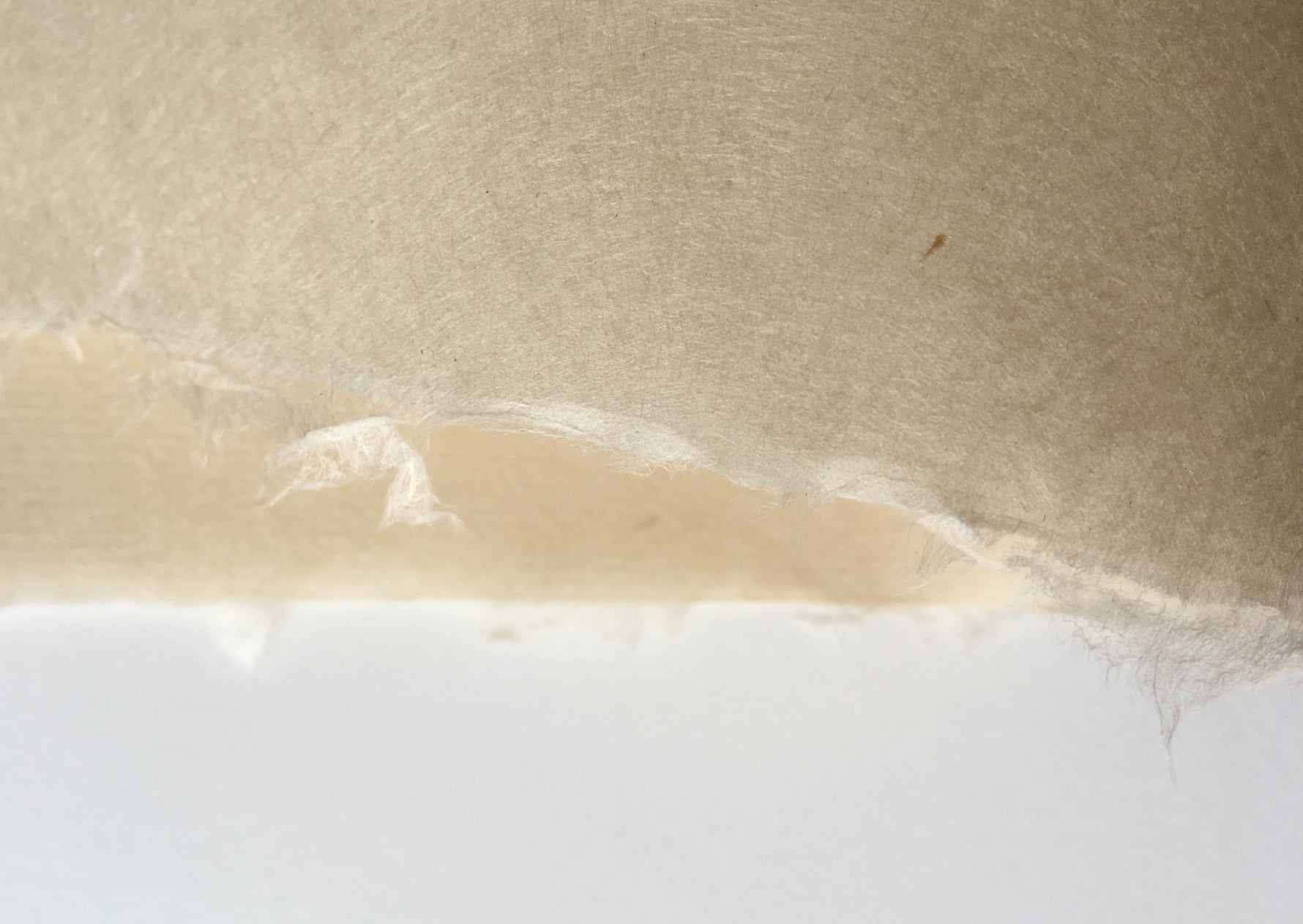 Japanese Paper Company